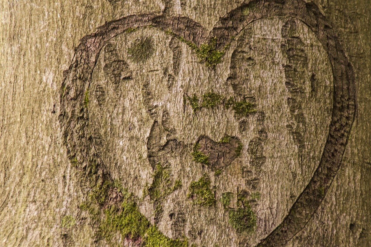 Aboyer Arbre Coeur - Photo gratuite sur Pixabay - Pixabay