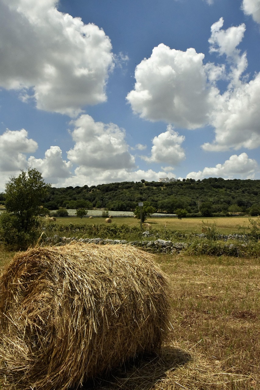 Campagna Pugliese Di - Foto gratis su Pixabay - Pixabay