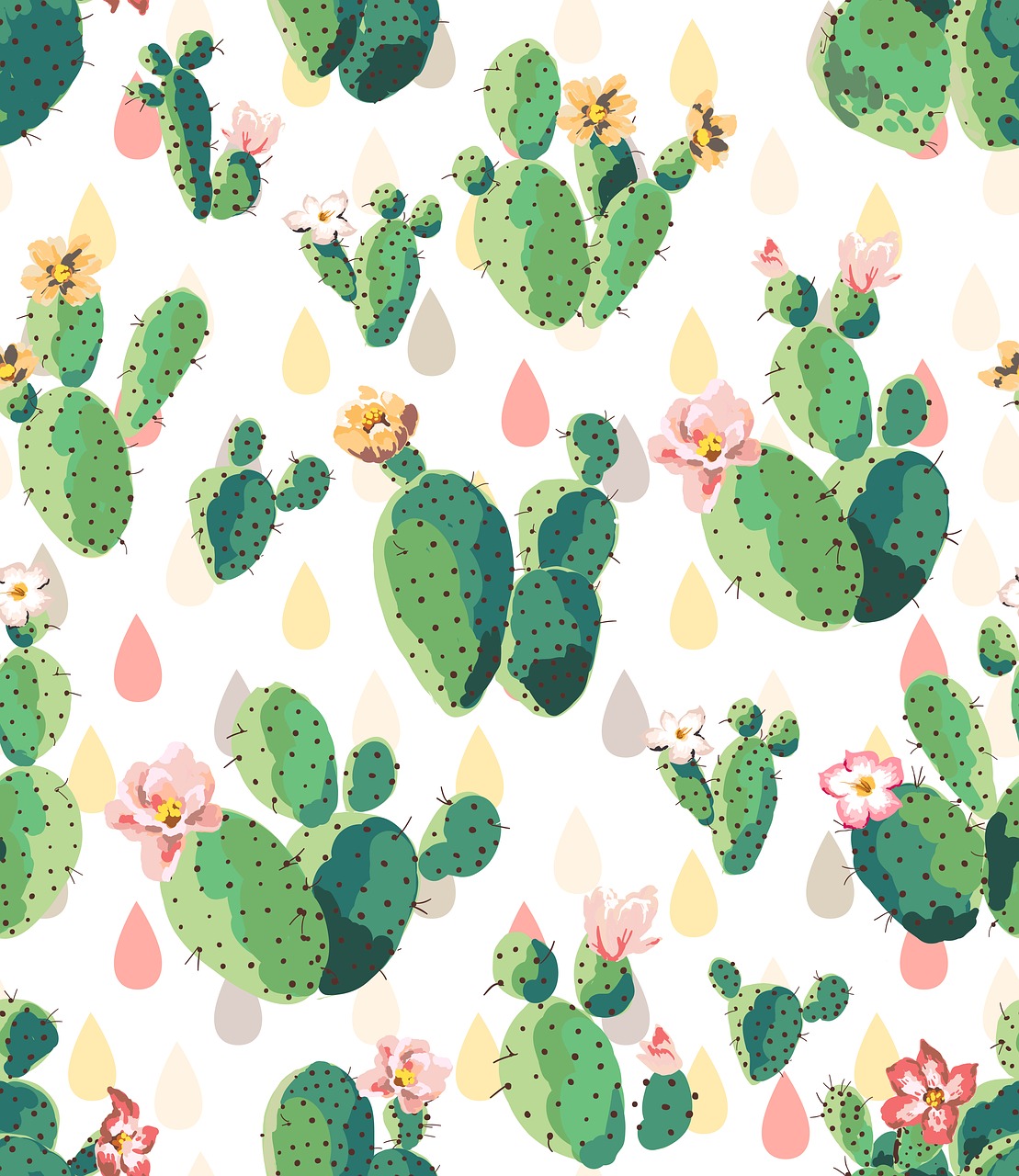 Cacti Northeast - Free image on Pixabay