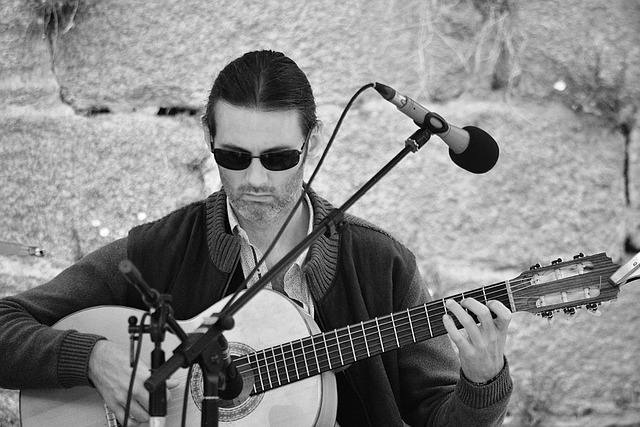 5,000+ Free Musician & Music Images - Pixabay