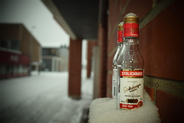 200+ Free Vodka & Alcohol Images - Pixabay