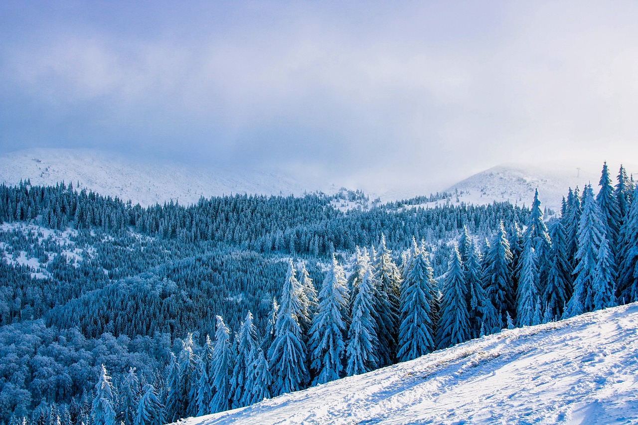 Romania Landscape Scenic - Free photo on Pixabay - Pixabay