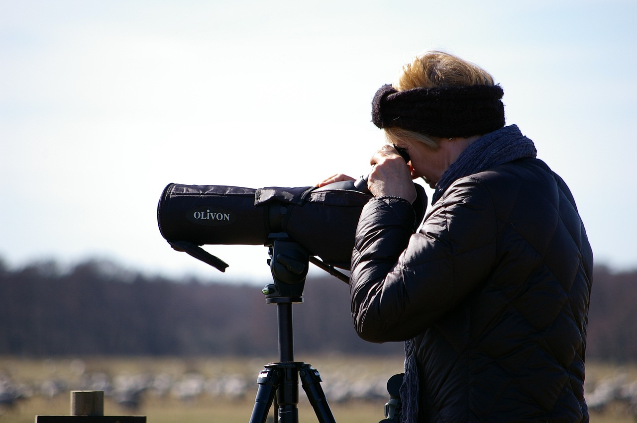 Binoculars Bird Watchers Focused - Free photo on Pixabay - Pixabay