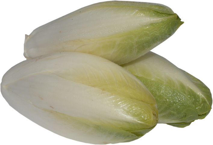 Chicoree Bilder - Kostenlose Bilder herunterladen - Pixabay