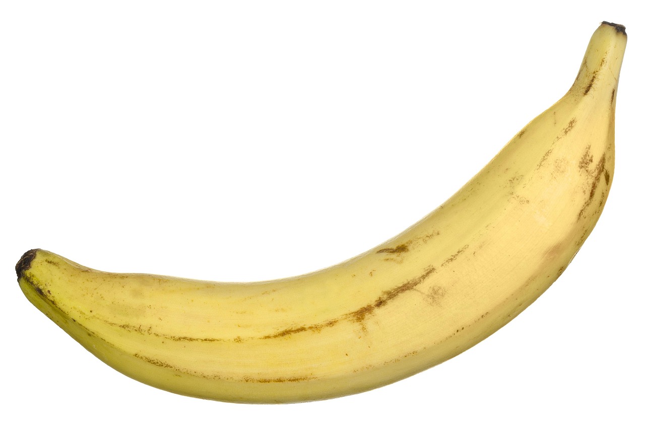 400+ Free Plantain & Nature Photos - Pixabay