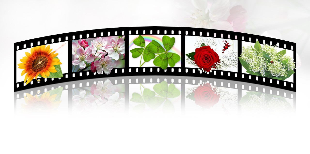 Filmstreifen Filmrolle Film - Kostenloses Bild auf Pixabay