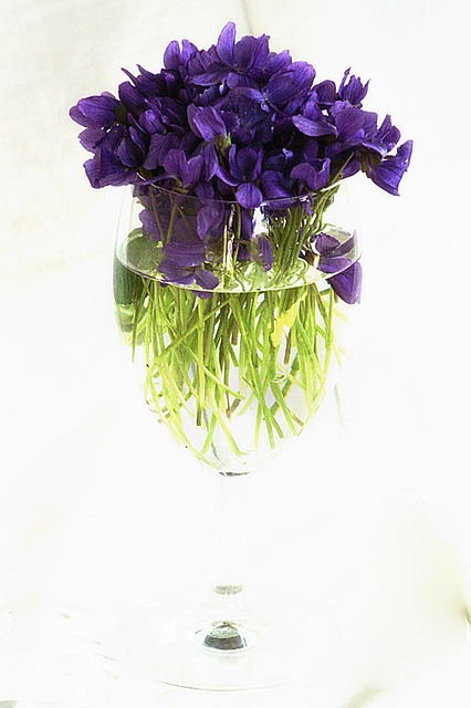 Violette Violettes Nature Morte Le - Photo gratuite sur Pixabay - Pixabay