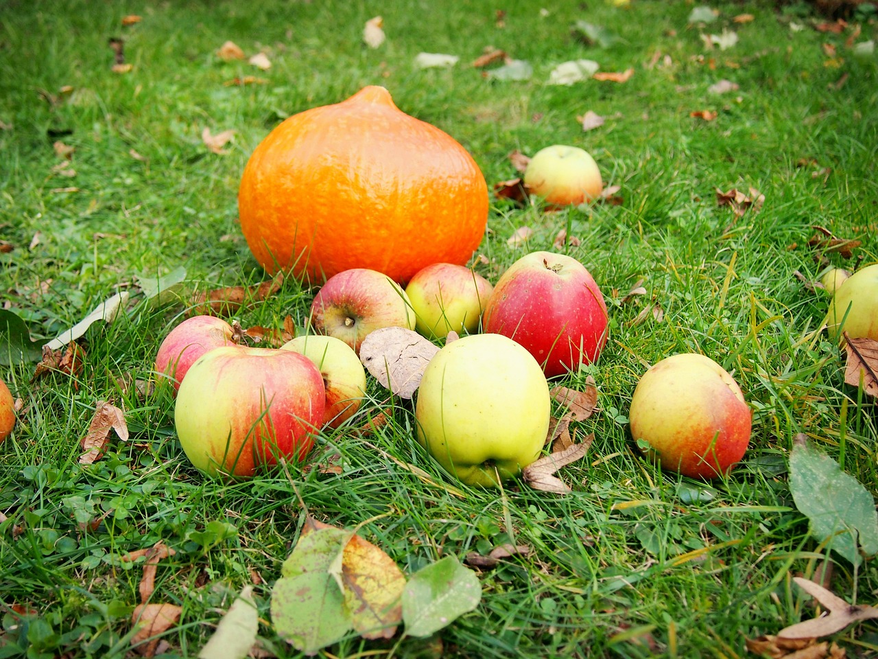 Pumpkin Apples - Free photo on Pixabay