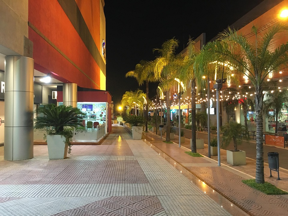 Paraguay Shopping Palm - Free photo on Pixabay