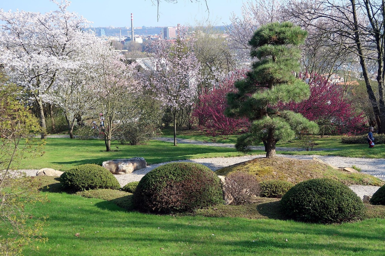 Japanese Garden Flowering Spring - Free photo on Pixabay - Pixabay
