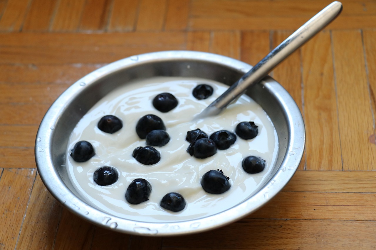 Food Yogurt Snack - Free photo on Pixabay