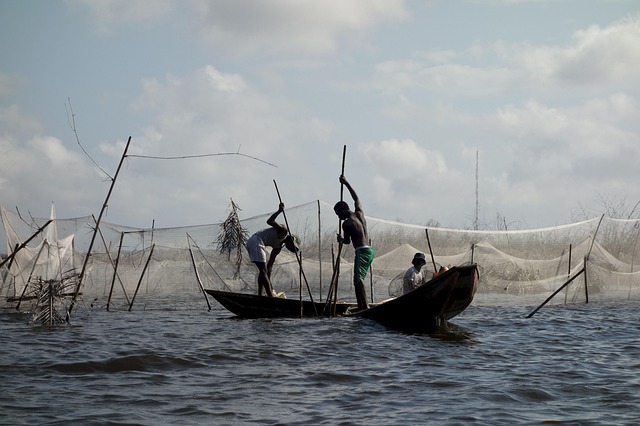 50+ Free Benin Natitingou & Benin Images - Pixabay