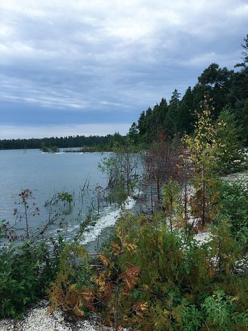 70+ Free Lakeshore & Lake Photos - Pixabay