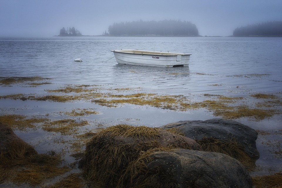 Rocks Seaweed Boat Free Photo On Pixabay Pixabay