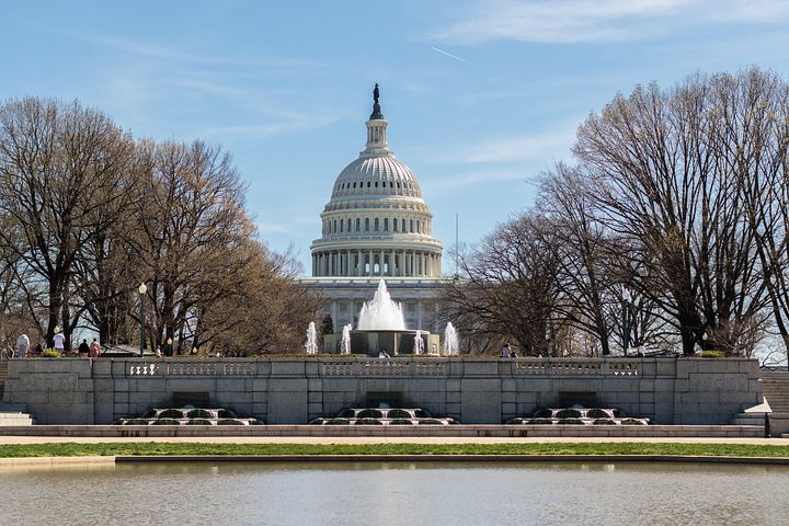 300+ Free Capitol Building & Washington Dc Images - Pixabay