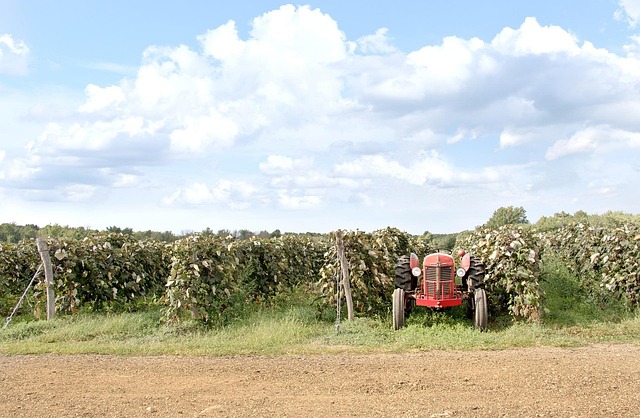 Red Tractor Farm Grape - Free photo on Pixabay - Pixabay