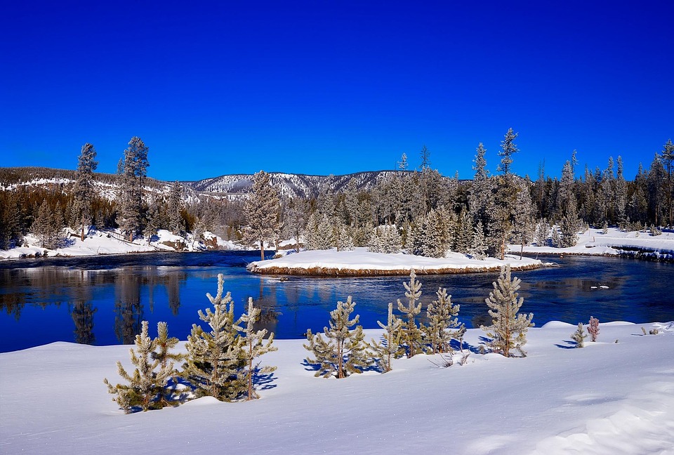 Yellowstone National Park Wyoming - Free photo on Pixabay - Pixabay