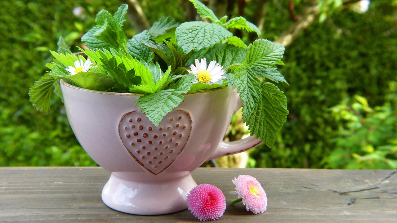 Herbs Leaves Blossoms - Free photo on Pixabay - Pixabay