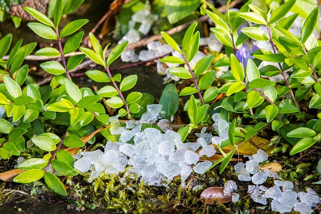 Hagel Unwetter Hagelschauer - Kostenloses Foto auf Pixabay