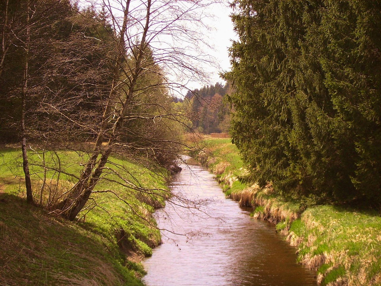 Arroyo Agua Naturaleza - Foto gratis en Pixabay - Pixabay