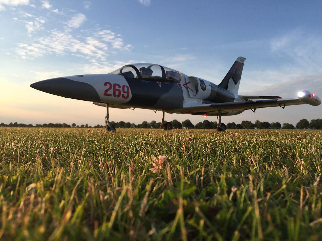 Plus de 60 photos gratuites de Albatros et de Nature - Pixabay