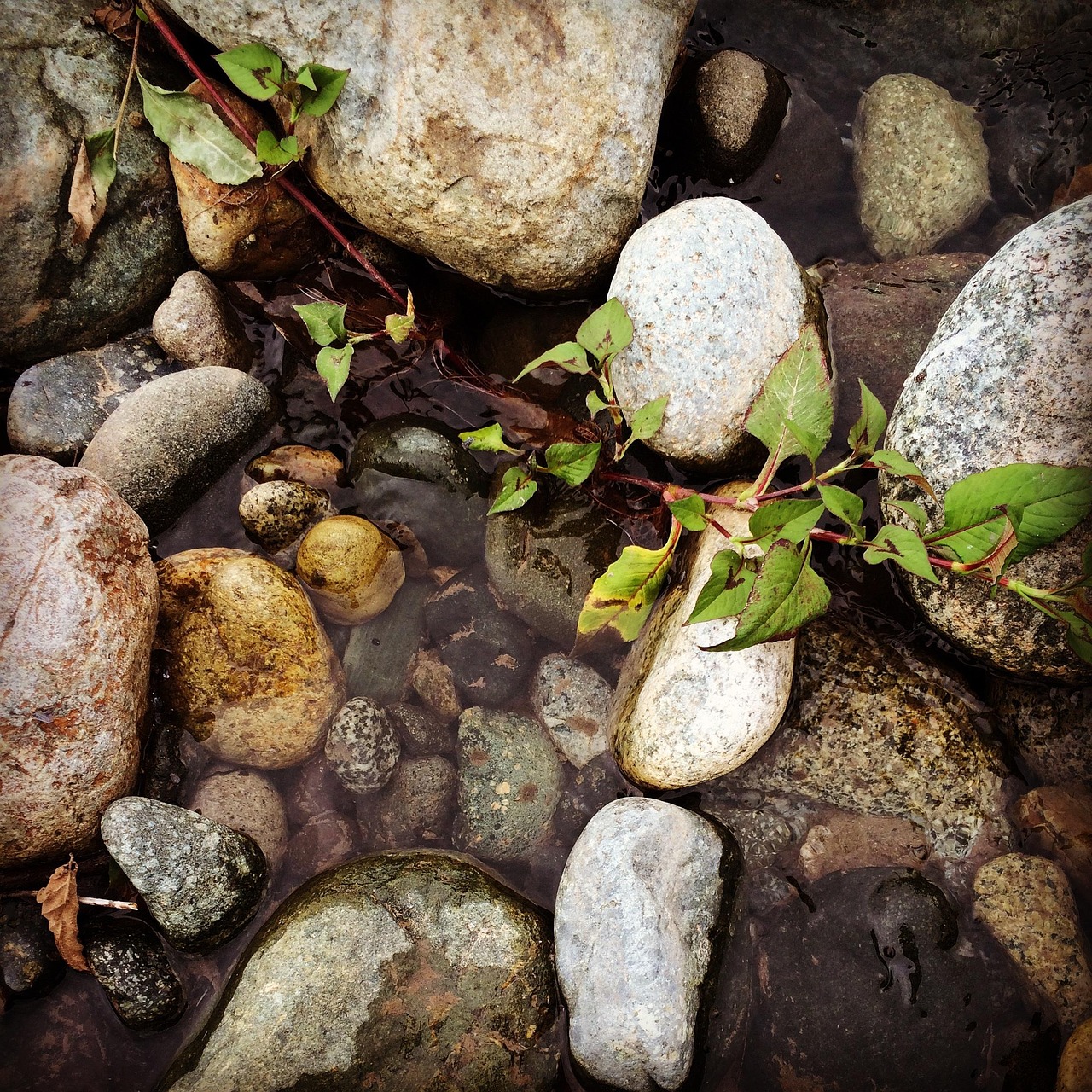 Dd Nature Stone Storm - Free photo on Pixabay - Pixabay