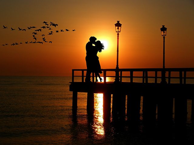 4,000+ Free In Love & Love Images