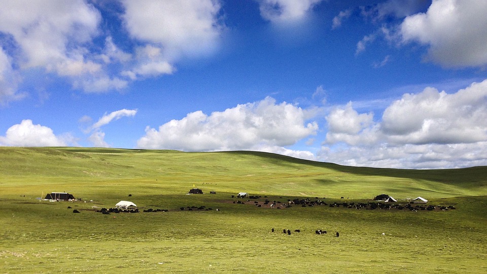 Grassland Blue Sky White - Free photo on Pixabay - Pixabay
