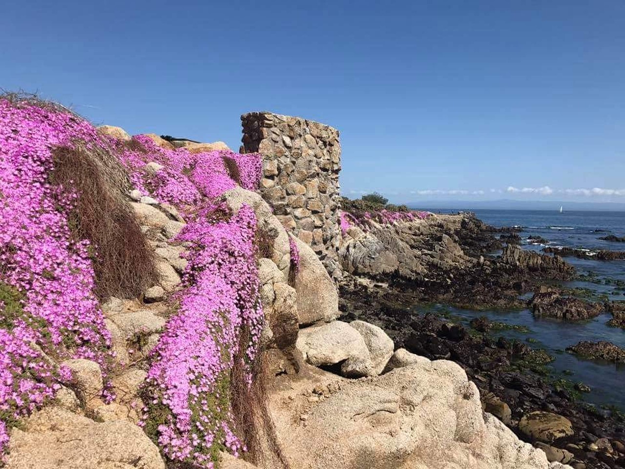Blumen Felsen Landschaft - Kostenloses Foto auf Pixabay - Pixabay