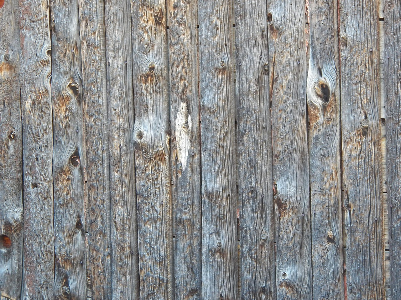 Tre Tekstur Bakgrunn Tre Tekstur Bakgrunn Gratis Foto På Pixabay