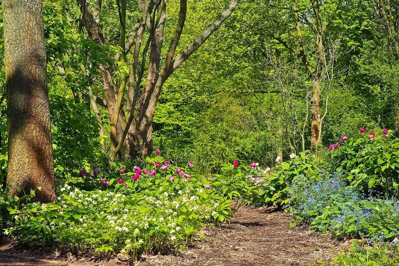 Landscape Field Nature - Free photo on Pixabay