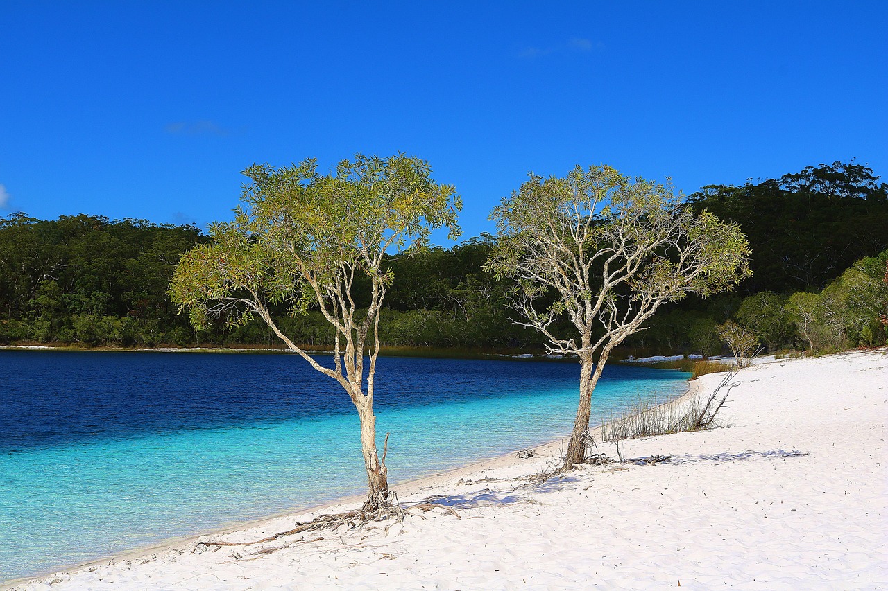 Mais de 90.000 imagens grátis de Praias e Natureza - Pixabay