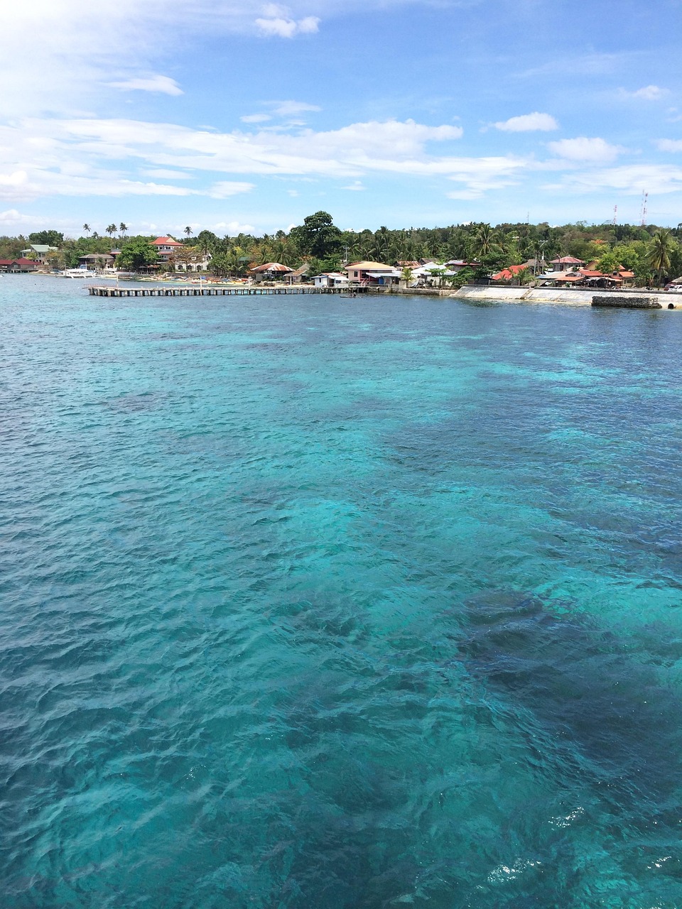 9,000+ Free Pica-Pau De Cebu & Cebu Images - Pixabay