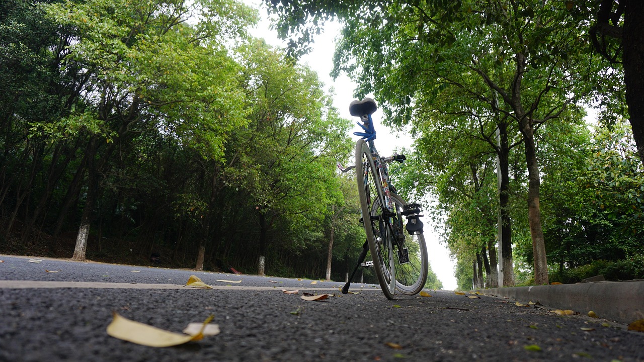 Bike Natural The - Free photo on Pixabay - Pixabay