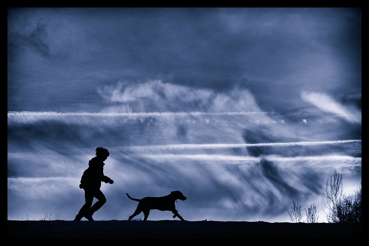 Man And Dog Silhouette Weimar - Free photo on Pixabay - Pixabay