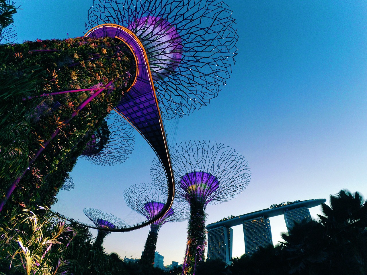 Singapore Blue Sunset - Free photo on Pixabay - Pixabay