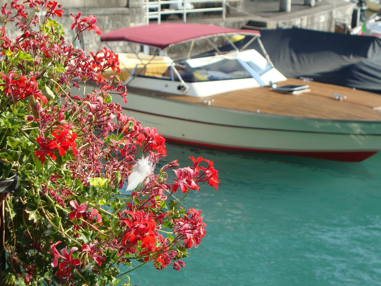 Porto Barca - Foto gratis su Pixabay - Pixabay