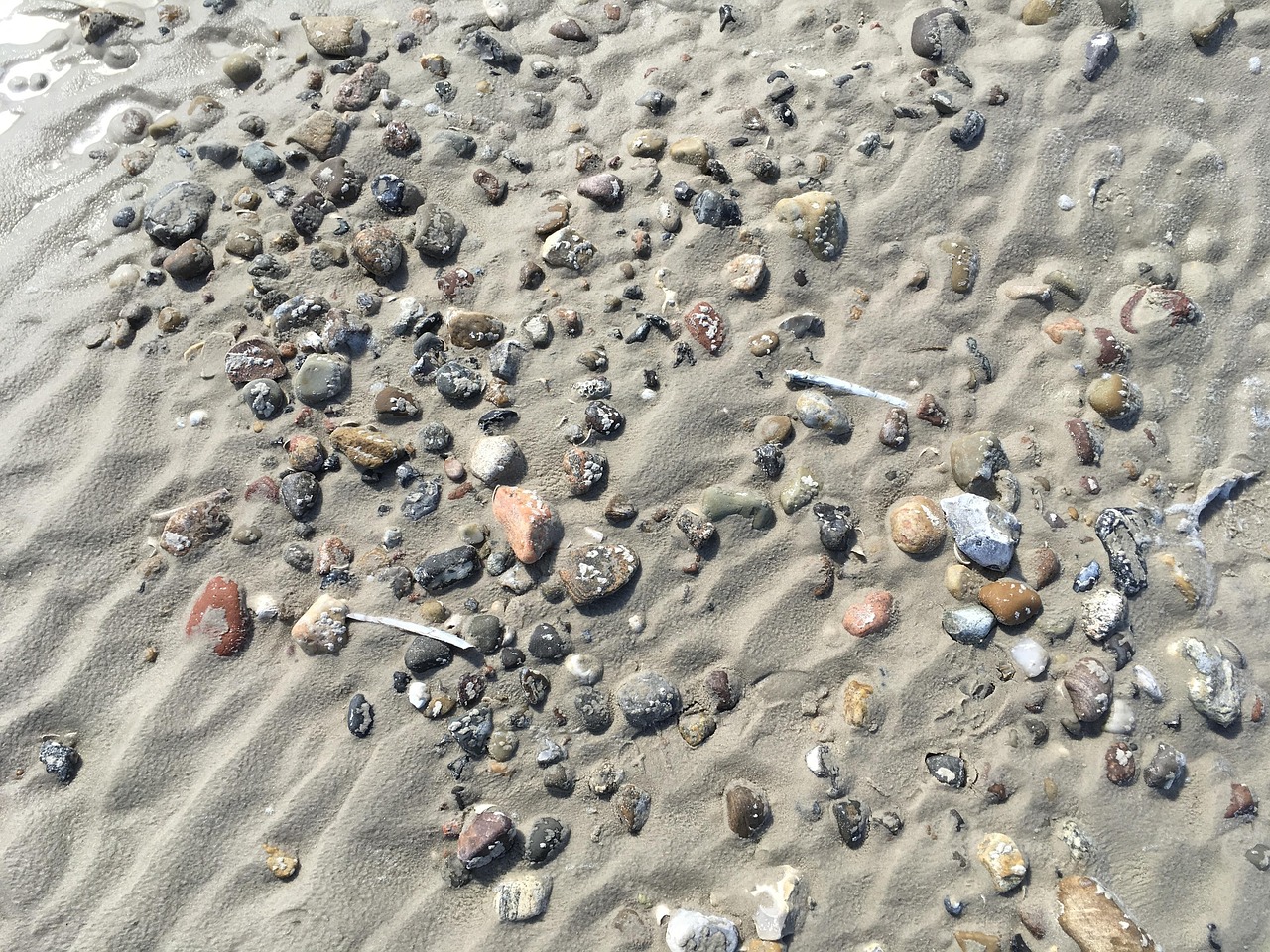North Sea Beach Sand - Free photo on Pixabay - Pixabay