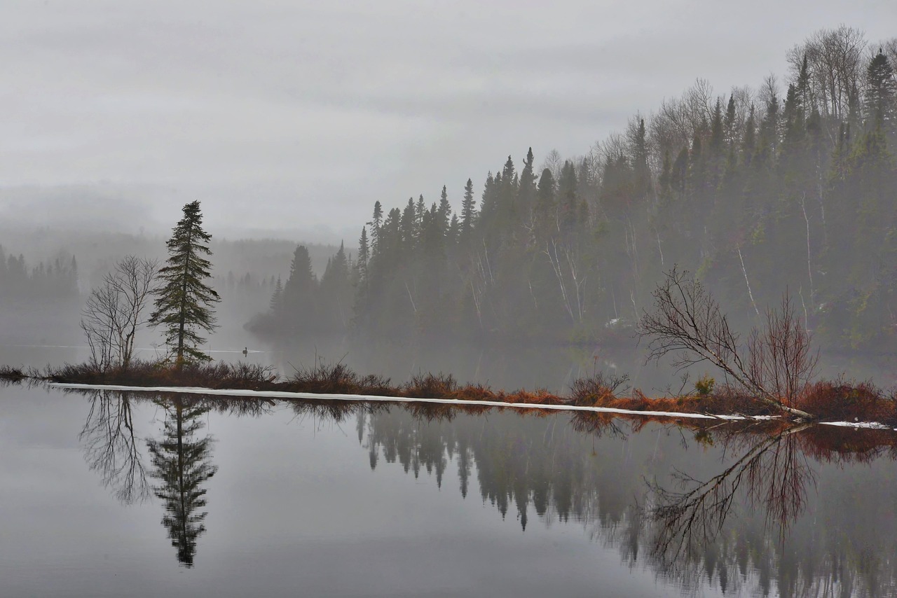 Landscape Nature Fog - Free photo on Pixabay