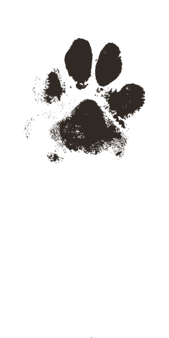 30+ Free Paw Print & Dog Vectors - Pixabay