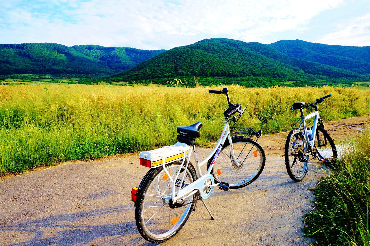 Bike Biking Cycle - Free photo on Pixabay - Pixabay