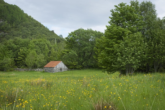 Prairie Sceaux Utløe Des - Photo gratuite sur Pixabay - Pixabay