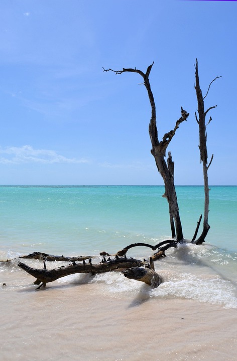Cuba Caribe Playa - Foto gratis en Pixabay - Pixabay