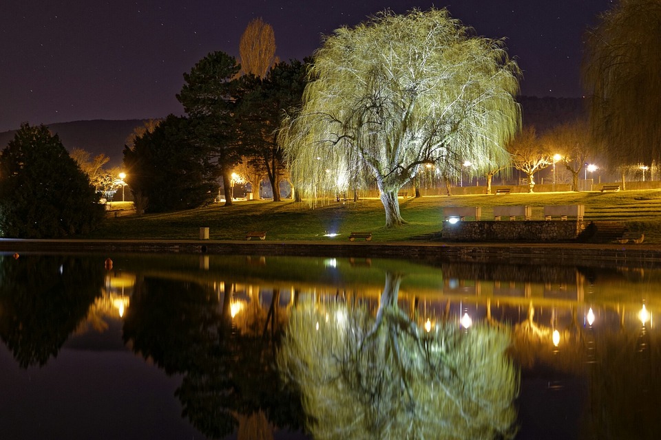 Light Night - Free photo on Pixabay - Pixabay