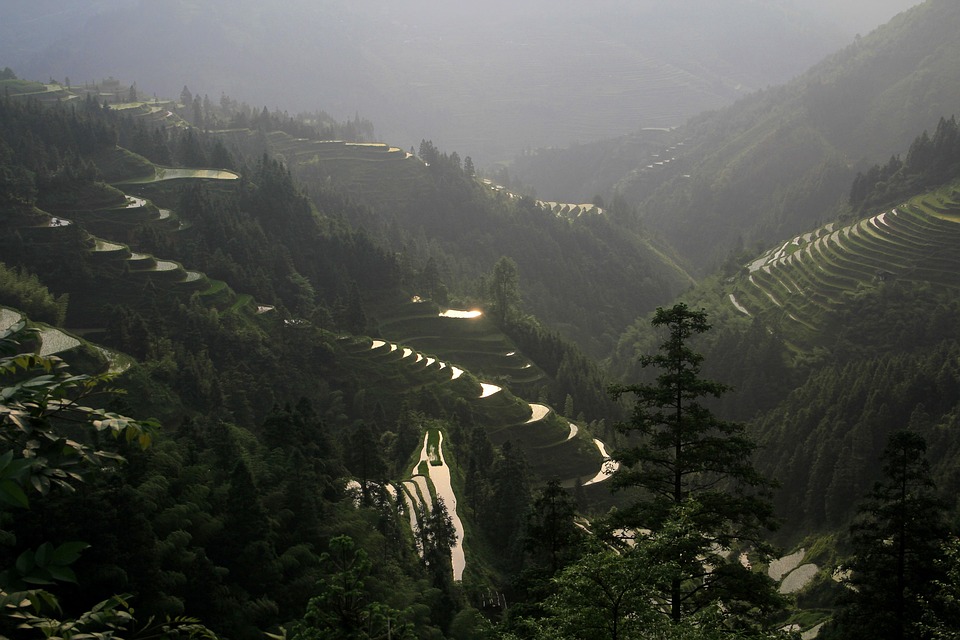 The Scenery Terraces Nature - Free photo on Pixabay - Pixabay