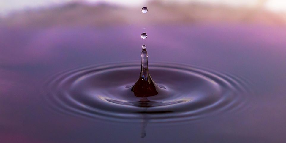 100+ Free Premium & Quality Images - Pixabay
