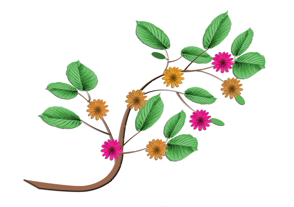 Ramo Flores Flor · Imagens Grátis No Pixabay