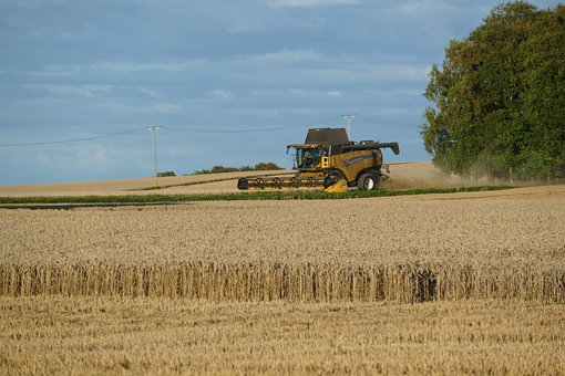 40+ Free Threshing & Agriculture Images - Pixabay