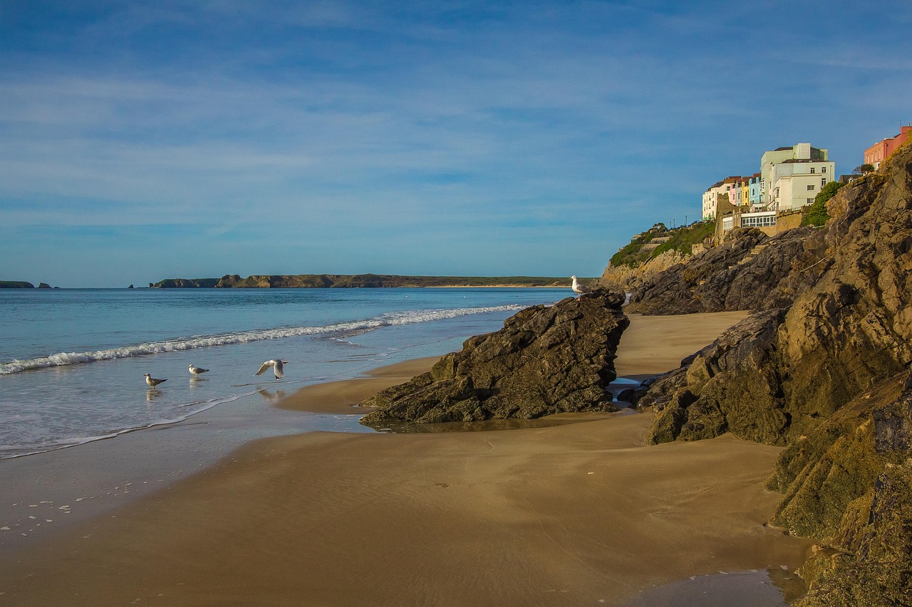 Coast Bay Ebb - Free photo on Pixabay - Pixabay