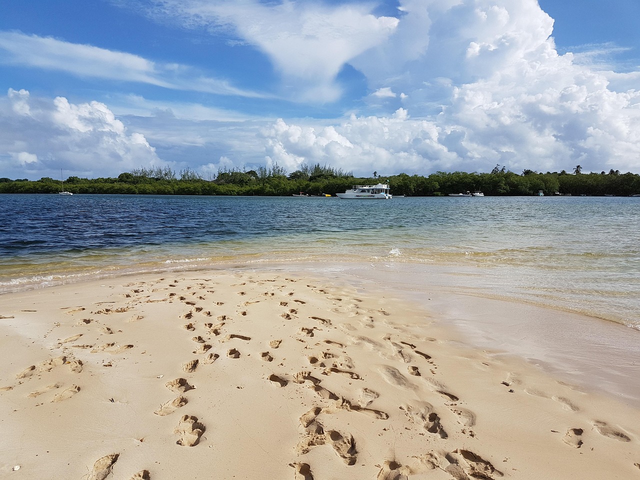Tobago Caribe Isla - Foto gratis en Pixabay - Pixabay